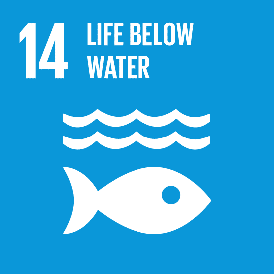 Sustainable Development Goals – Canva