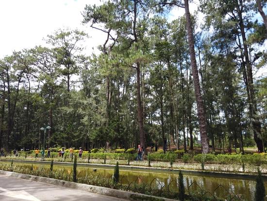 Emi Creatives – Canva