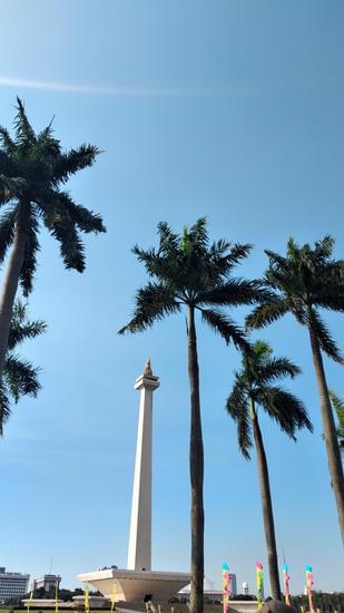 Fatma Zahro – Canva