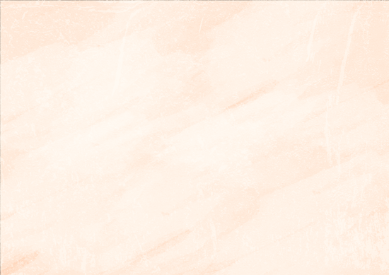 vector-feast – Canva