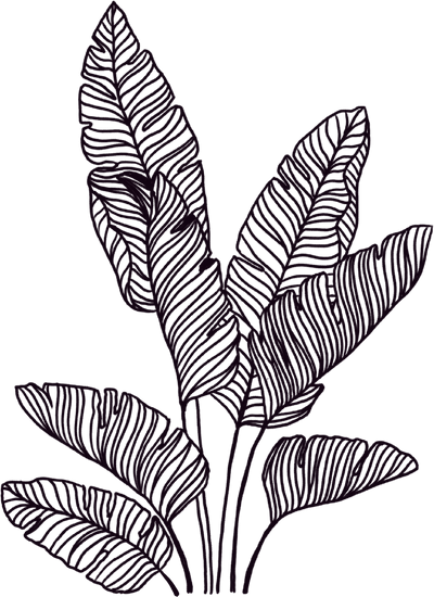 Designs by Chey – Canva