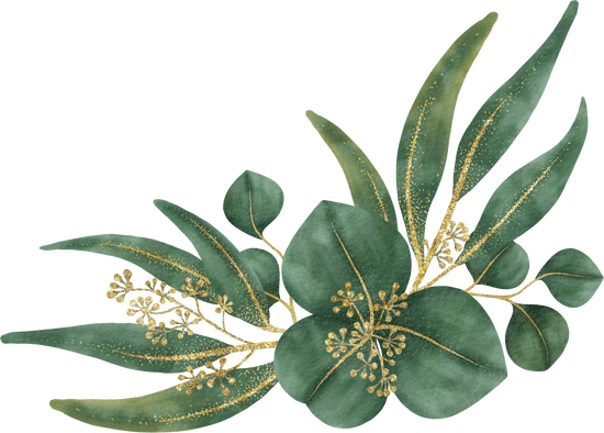 BEN&BEN design – Canva