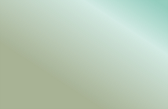 The Graphics Squad – Canva