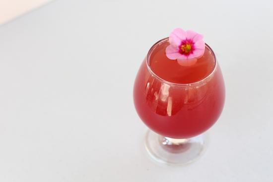 Diondra Filicetti's Images – Canva