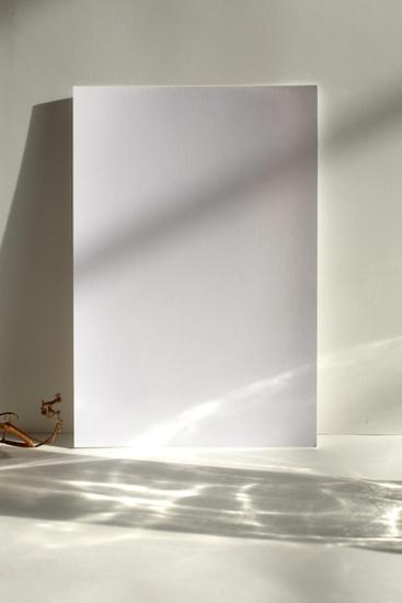 Subi Krishna – Canva