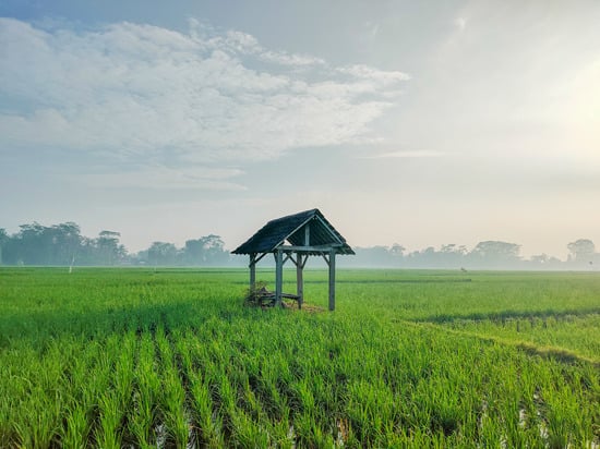 Febry Dahyani's Images – Canva