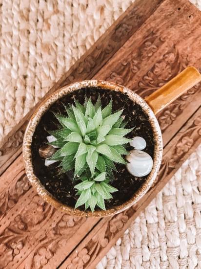 Nadia Key's Images – Canva