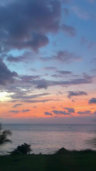 Jovert Carlos – Canva