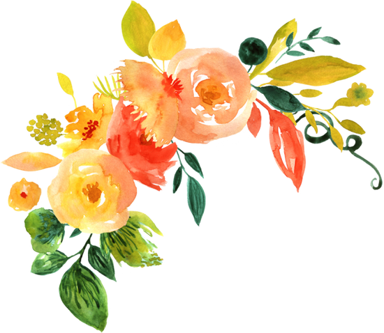 Sandra Reddy's Images – Canva