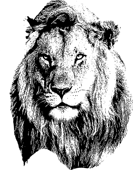 Jake Rhodes – Canva