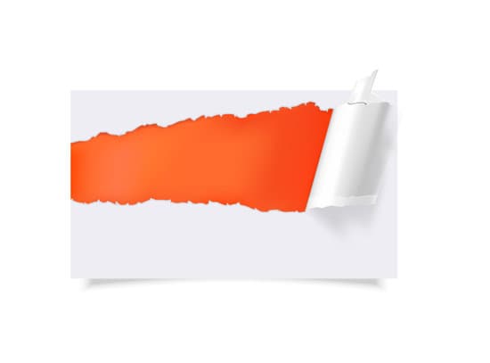 Macrovector – Canva