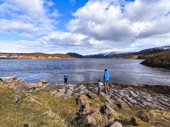 rune alexander reisænen's Images – Canva