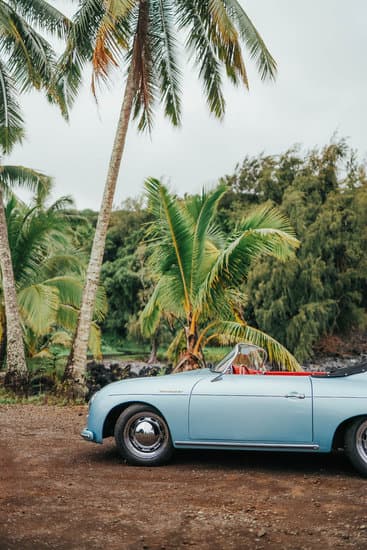 Be Aloha Photo – Canva