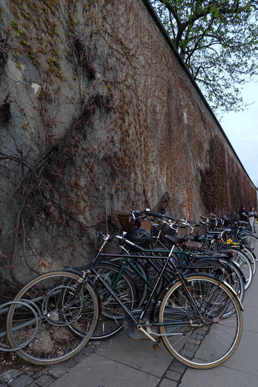 Lim Mei Rong's Images – Canva