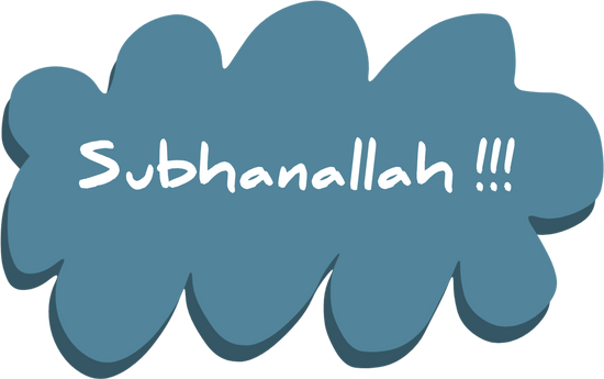 Alifa Design – Canva