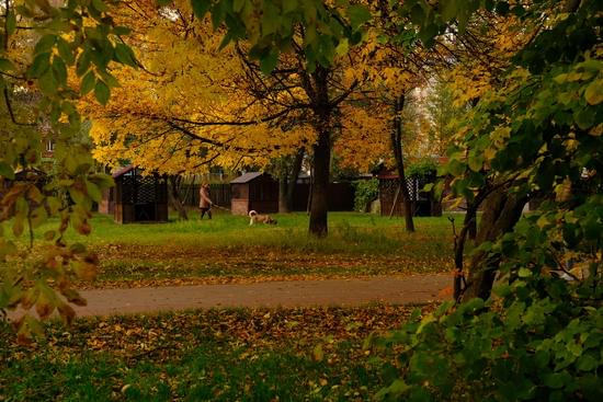 Vladyslav Babenko – Canva