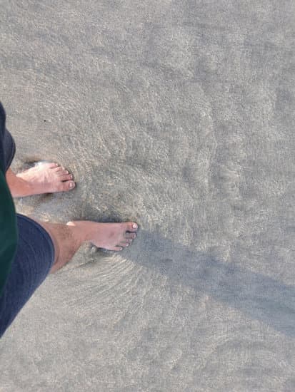 Redrev Romano – Canva