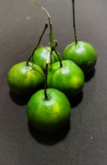 Anne Napay-dragon's Images – Canva