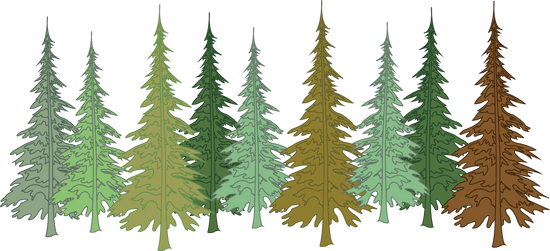 heather gerber – Canva