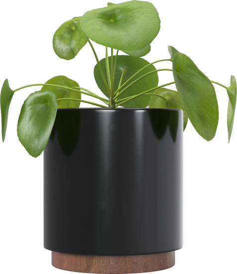 Joe Mark's Images – Canva