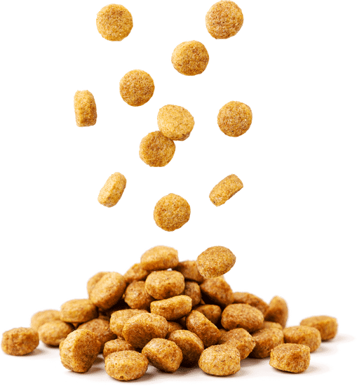 Изображения пользователя Inna Tarasenko – Canva