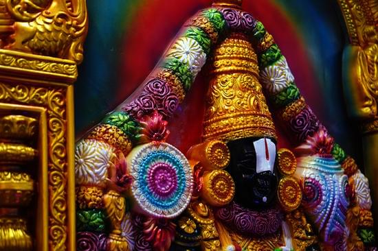 reddees Images – Canva