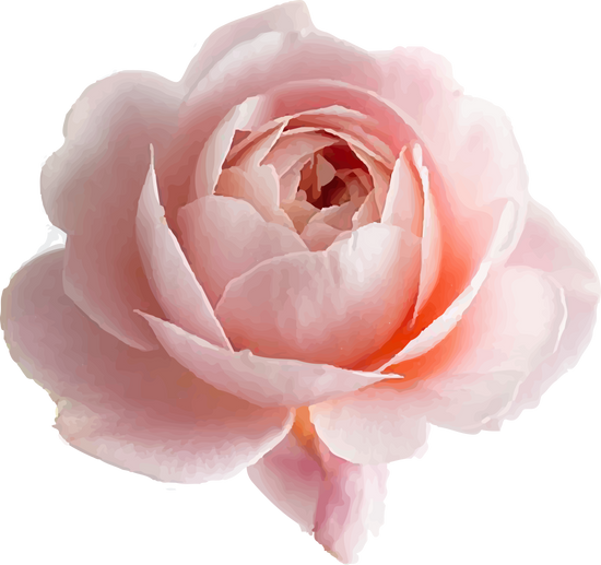 kanwal's Images – Canva