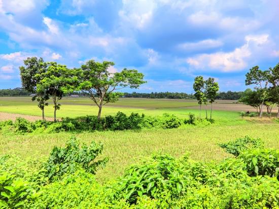 Likhon Karmaker – Canva