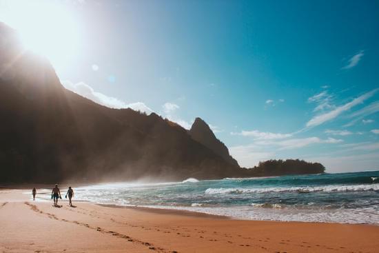 Vicentia Olariu's Images – Canva