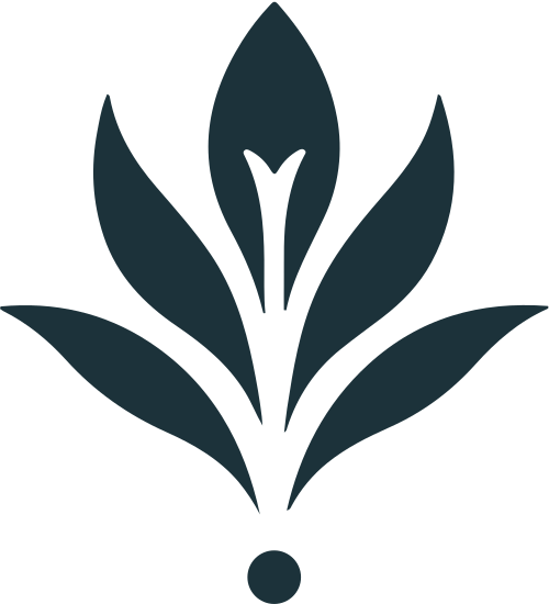 designer dp's Images – Canva