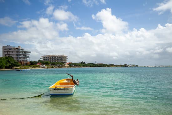 Jill McIntire's Images – Canva