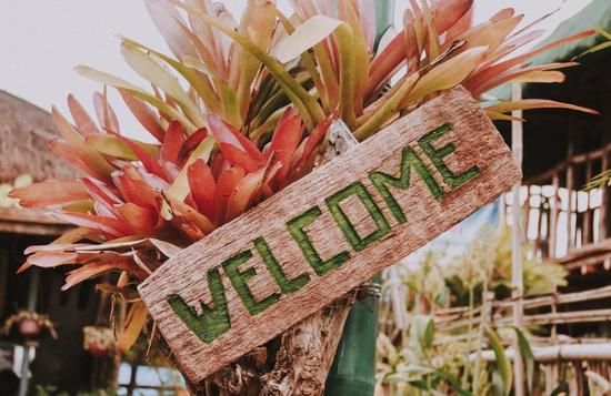 LNDLCKD.Creative designs – Canva