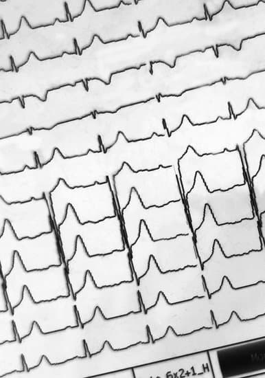 reddees Images – Canva