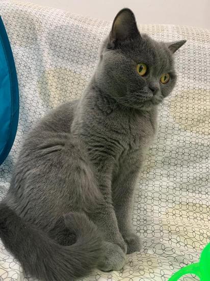 Ninz Workplace – Canva