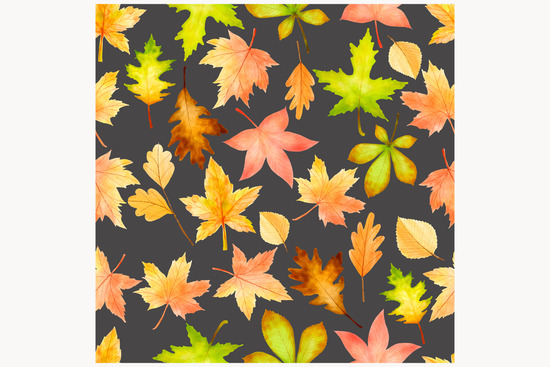 Buck Nerb's Images – Canva