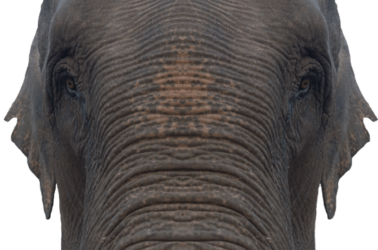 Luck Moment's Images – Canva