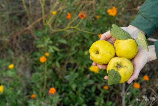 Изображения пользователя Sherl – Canva