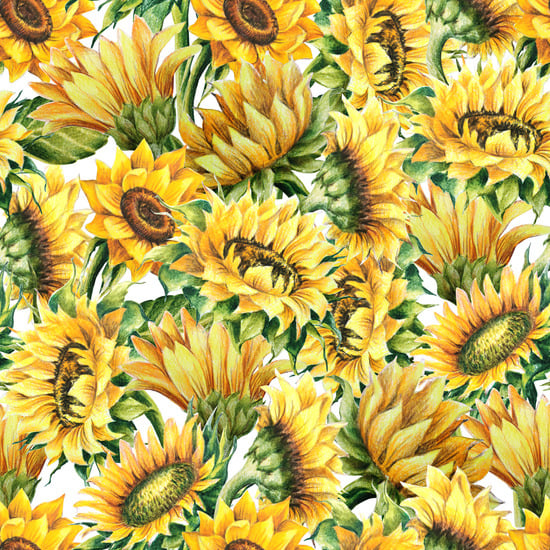 Buck Nerb's Images – Canva