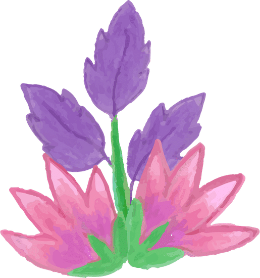 frengky – Canva