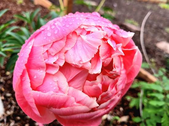 Kayla Goodman's Images – Canva