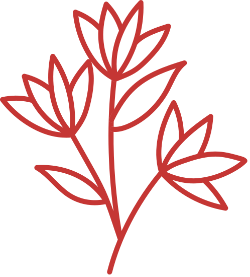 ANNA GRAPH' – Canva