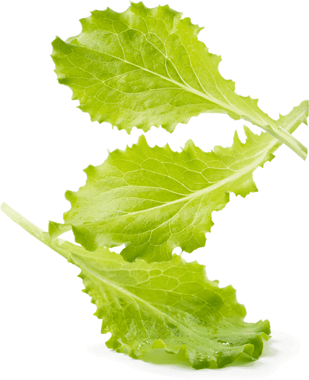 Изображения пользователя Inna Tarasenko – Canva