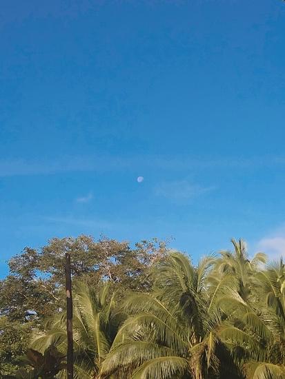 Jovert Carlos – Canva