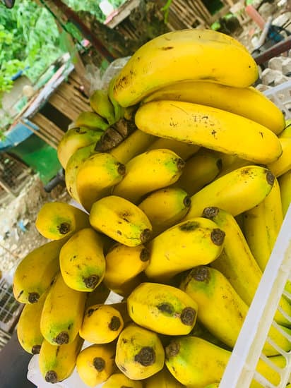 CCB Designs – Canva