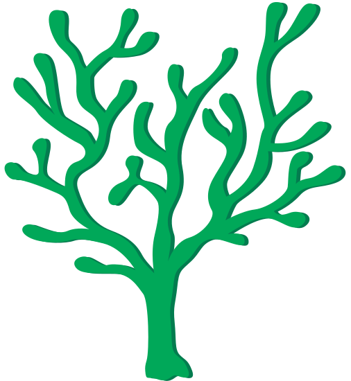 ARS Version – Canva