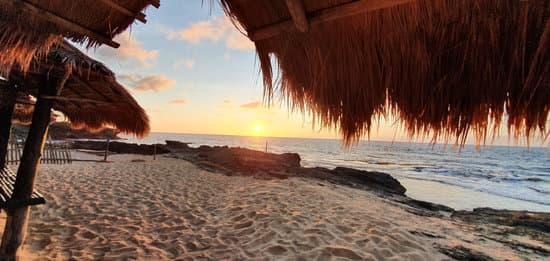 neslyn hermogenes's Images – Canva