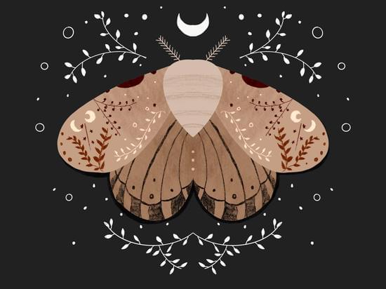Himia Amaliah – Canva