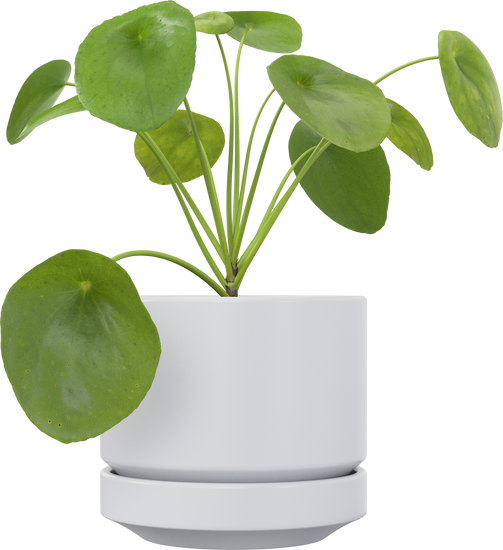 Joe Mark's Images – Canva