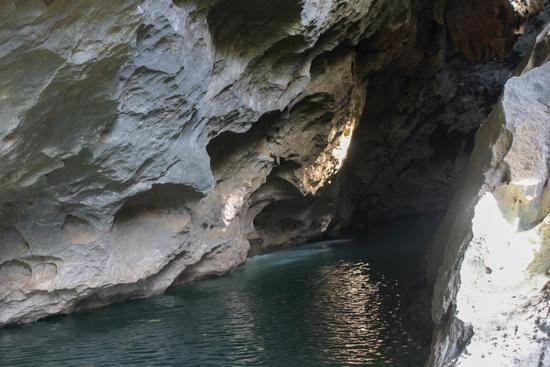 Rayhan Zaky – Canva