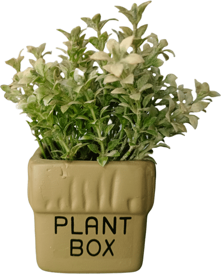 Icha Riska – Canva